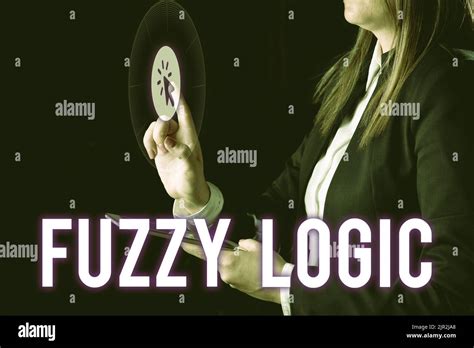 Text Showing Inspiration Fuzzy Logic Business Overview Checks For