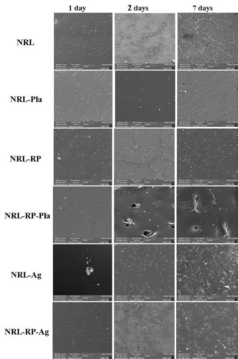 Feg Sem Micrographs 500 × Nrl Nrl Pla Nrl Rp Nrl Rp Pla Nrl Ag