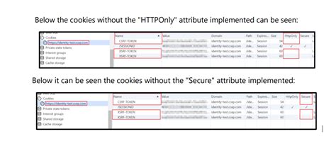 Cookies Without The Only And Secure Attribute Iiq Discussion And