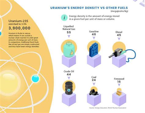 The Silver Bear Cafe