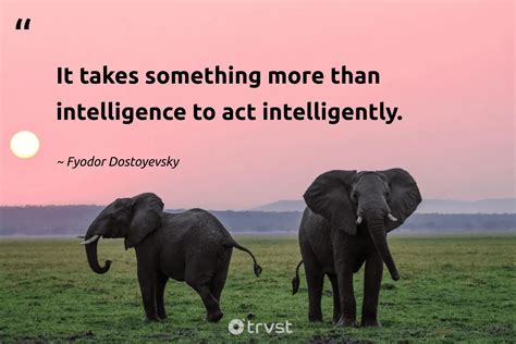 50 Emotional Intelligence Quotes To Enhance Self Awareness