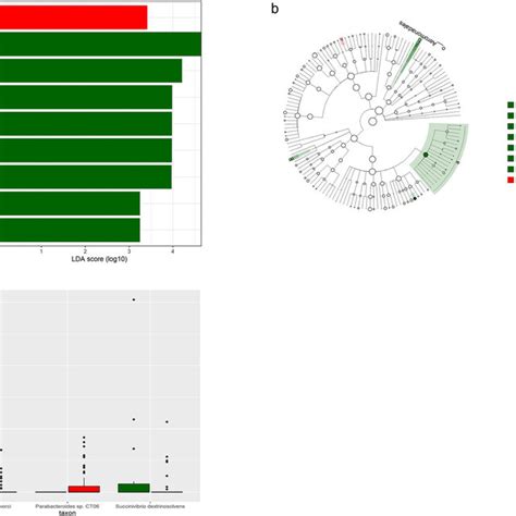 Differentially Abundant Taxa Between Healthy Controls And Ibs Patients Download Scientific