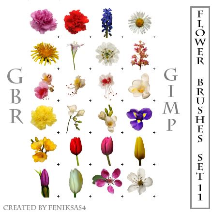 Gimp Flower Brushes Set 11 By Feniksas4 On DeviantArt