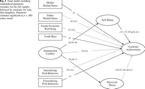 final model including standardized parameter estimates for the full