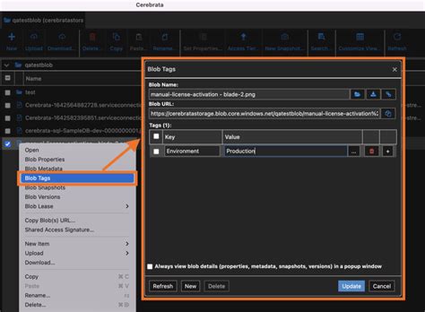 search azure storage blobs by tags cerebrata