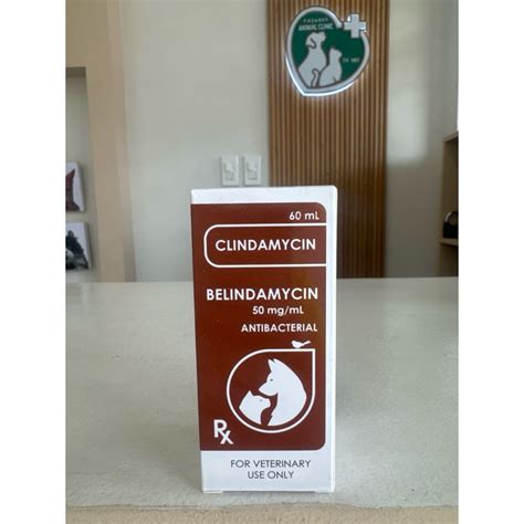 Clindamycin Belindamycin Shopee Philippines