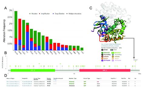 Analysis Of The Tcga Database For The Mutation Status Of Hpgds In Download Scientific Diagram