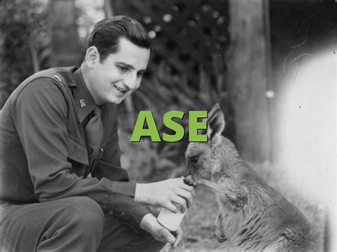 Ase Meaning