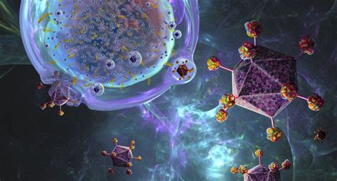 Do Age And Sex Affect Immunotherapy Response Charles River