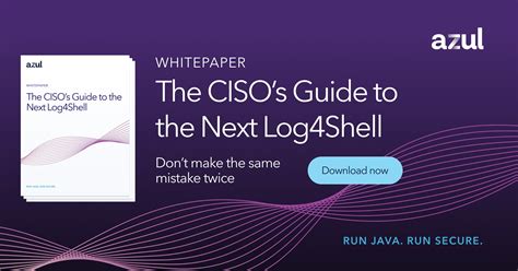 The CISO S Guide To The Next Log4Shell