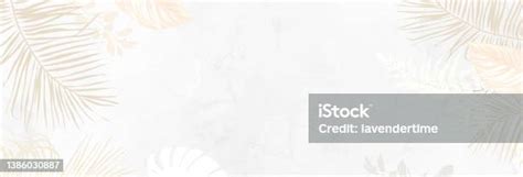 고급스러운 베이지색과 브라운 트렌디 한 벡터 디자인 배너 프레임 파스텔 팜파스 잔디 배경 주제에 대한 스톡 벡터 아트 및 기타 이미지 배경 주제 꽃 식물 금 금속