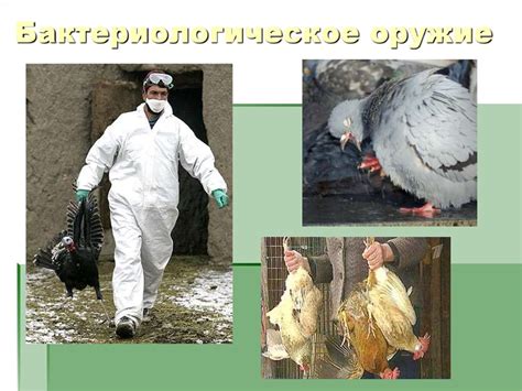 Индивидуальные средства защиты личного состава от оружия массового ...