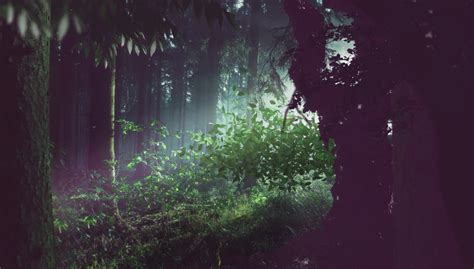 D Animation Tyflow On Behance