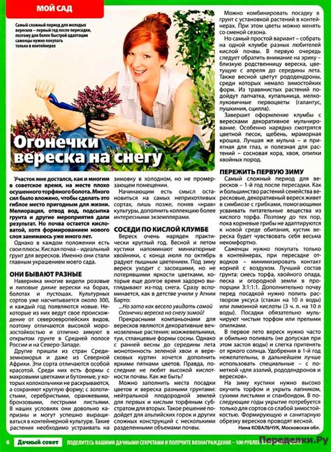 Дачный совет 3 2017 * Переделки.РуПеределки.Ру