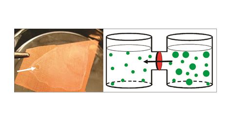Layer By Layer Deposition Of Block Copolymer Nanofibers And Porous Nanofiber Multilayer Films