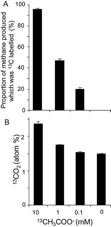 The Quantitative Significance Of Syntrophaceae And Syntrophic Partnerships In Methanogenic