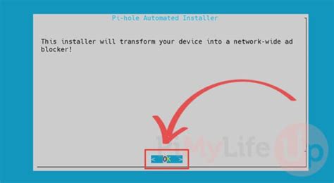 raspberry pi pi hole a network wide ad blocker pi my life up