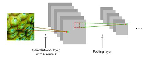 An Example Of A Convolutional Layer And A Pooling Layer In A Cnn