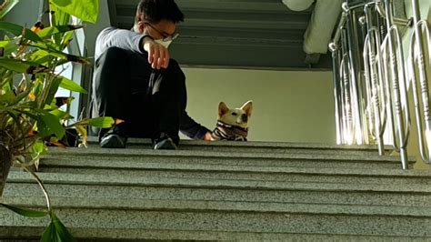 추운 겨울 따뜻한 햇살이 내리쬐는 창가에서 공장 진돗개와 함께 ㅣ 공장개와 돌보는 이의 투 샷 Youtube