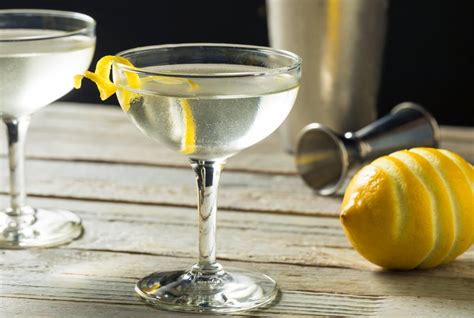 Classic Gin Martini Recipe Timeless Cocktail The Boston Shaker