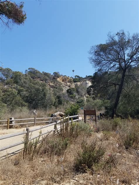 San Diego Hikes Annies Canyon Trail At San Elijo Lagoon Fun Diego
