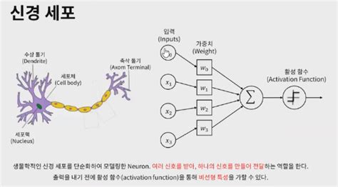 머신러닝 기초 1강