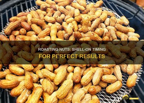 Roasting Nuts Shell On Timing For Perfect Results ShunGrill