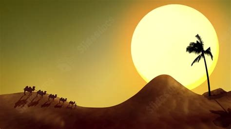 Best Palm Tree Powerpoint Background For Presentation Slidesdocs Com