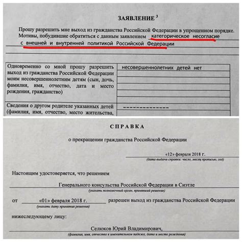Образец заявление о получении гражданства рф в упрощенном порядке