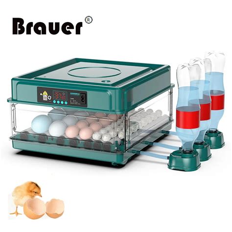 48 알 인큐베이터 전자동 터닝 부화 인공 부화기 농장 조류 메추라기 닭 양계 농장 부화 터너 인큐베이션 도구 Aliexpress