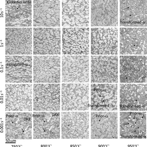 Optical Micrograph Showing The Variation In Microstructure Evolution Download Scientific