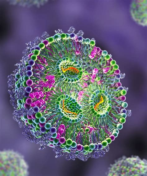 Phospholipids For Brain Health Swiss Healthcare Phospholipids For Brain Health Swiss Healthcare