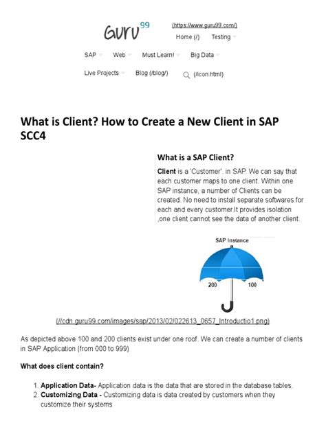 What Is Client How To Create A New Client In Sap Scc4 Pdf