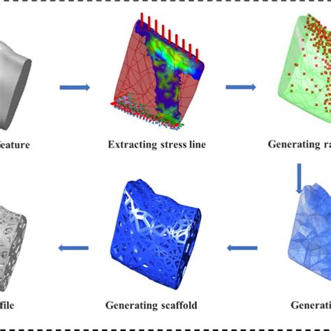 Design Process Of The Bionic Gradient Porous Structure Of The Download Scientific Diagram