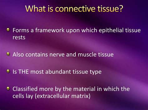 PPT Connective Tissue PowerPoint Presentation Free Download ID
