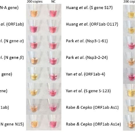 First Screening Of The 16 Published Rt Lamp Primer Mixes Using 200 Download Scientific Diagram