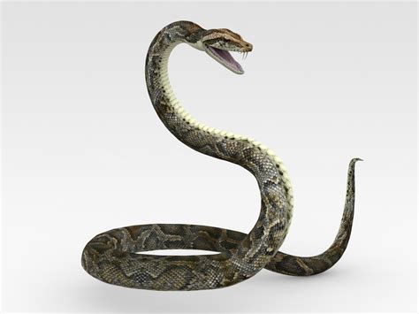 Python Dモデル TurboSquid