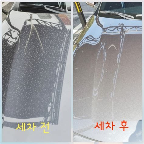 노터치자동기계세차장 🚘컴인워시 통영점🚘 워터스팟 벌레 너무 오래 방치하지 마시고 온수세차하러 얼른 오세요🚘💦💦 네이버 블로그