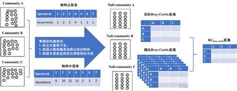 r语言并行计算rc~bray curtis~距离 rc距离计算群落的确定性和随机性 csdn博客