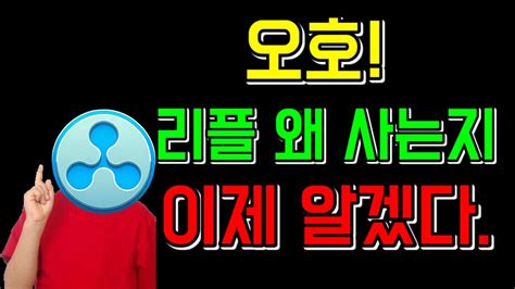 리플 왜 다들 리플~ 리플~ 하는지 해답 알려드립니다 Youtube