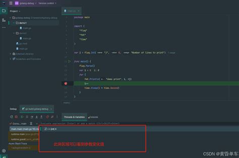 Golang Debug调试goland Debug调试kratos项目 Csdn博客