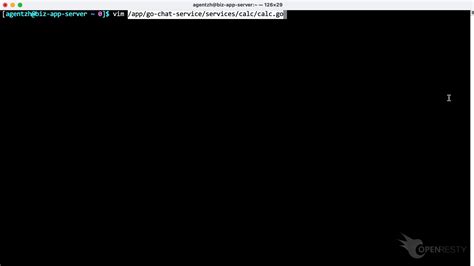 How To Locate Exceptions Inside Go Applications Using Openresty Xray