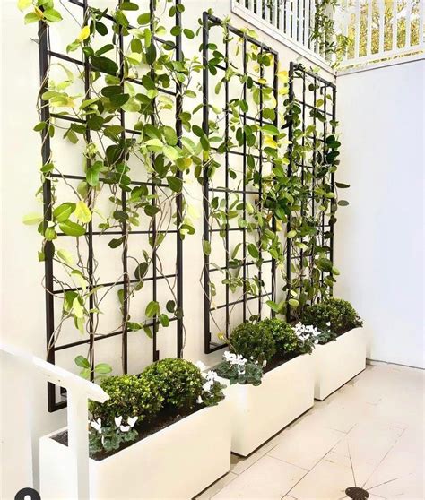 Metal Trellis Artofit