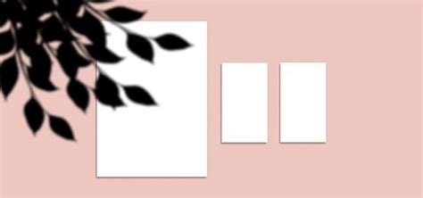 이랑 추상 배경 식물 그림자 배경 식물 그림자 명함 원형 배경 일러스트 및 사진 무료 다운로드 Pngtree Abstract Backgrounds