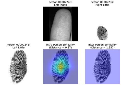 Fingerprint Correlation Creative Machines Lab Columbia University