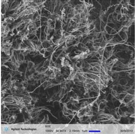 the sem surface image of the as grown cnt film download scientific