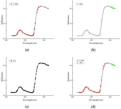 A Cars Spa Ga Feature Wavelength Selection Method Based On Hyperspectral Imaging With Potato
