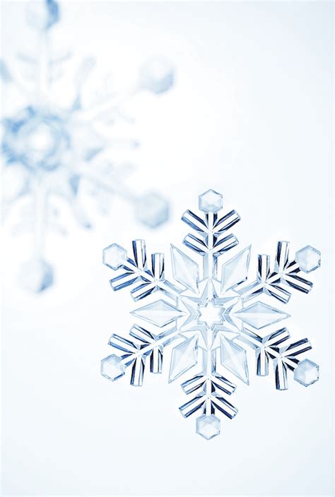 스노우플레이크 유토이미지 상세페이지 베이직샵 전체 22021122