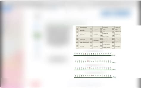 Mutations Diagram Quizlet
