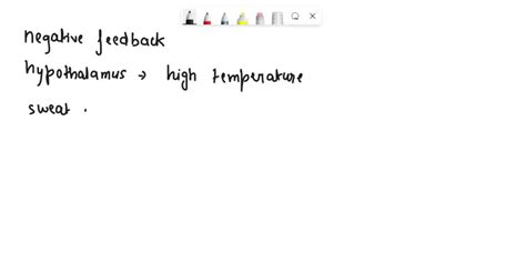 SOLVED 2 Diagram A Negative Feedback Loop That Shows One Effector That Regulates Body